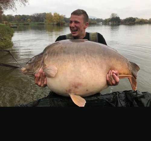 Бойлы для рыбалки микс разведчик