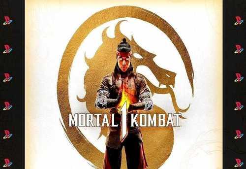 Mortal Kombat 1/11 для PS5/PS4 fg-3525