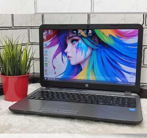 HP / Celeron N2840 / 8GB / SSD 120GB