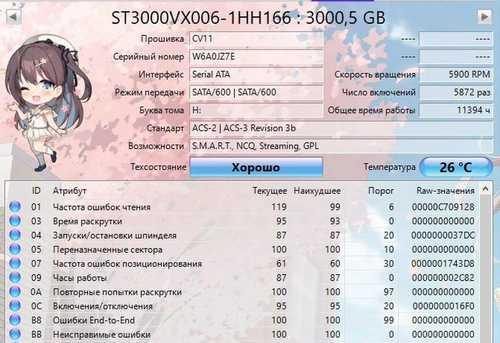 Seagate Surveillance 3TB