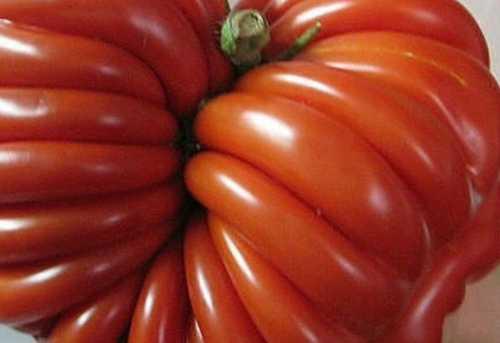Семена огромных томатов