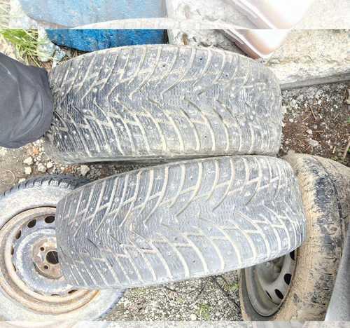 Nankang SW-8 Ice Activa 205/55 R16 94T