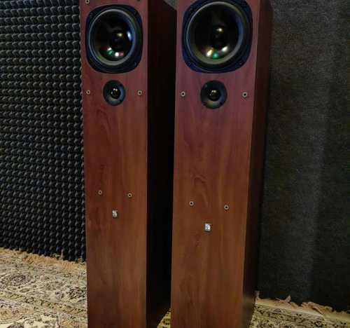 Акустика Audio Pro Evidence E5