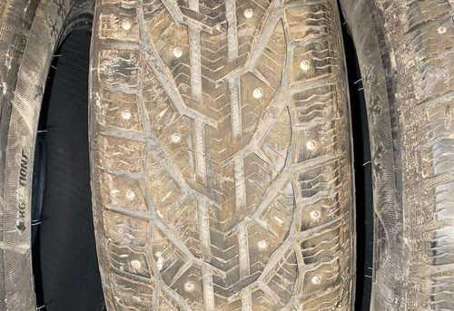 Tigar Ice 185/65 R15