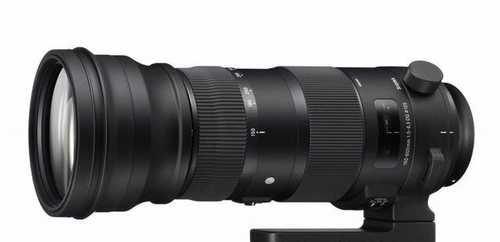 Sigma AF 150-600mm F/5-6.3 DG OS HSM Sports Nikon