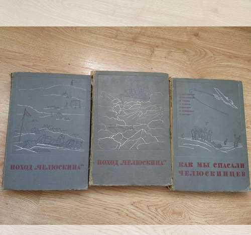 Поход Челюскина