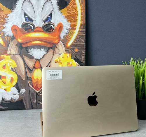 Ноутбук Macbook 12 2015 8/256gb