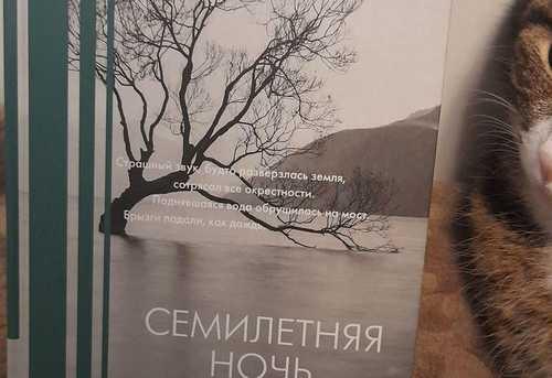 Книга: Чон Ючжон "семилетняя ночь"