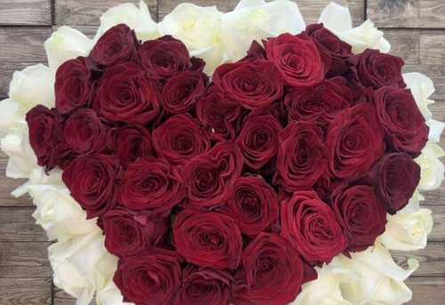 Букеты сердце из роз 51 роза