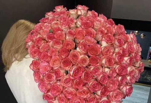 Букет из роз, 101,51,31, доставка,Ставрополь
