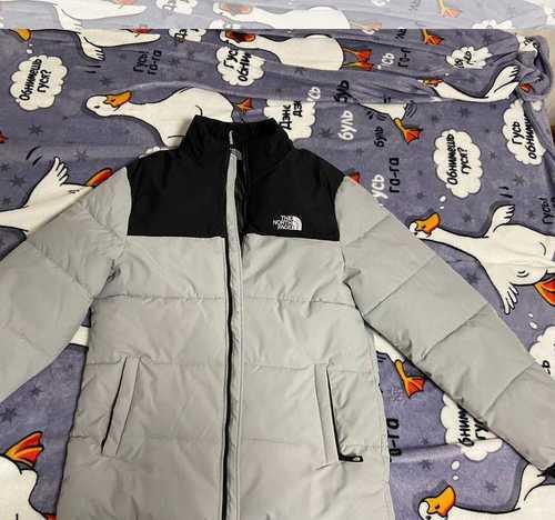 Пуховик мужской The north face 700