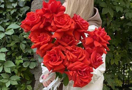 Роза франзузкая доставка цветов