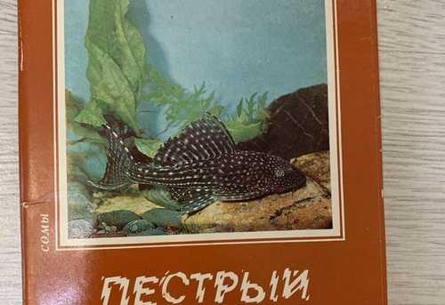 Набор открыток "Пестрый мир аквариума"