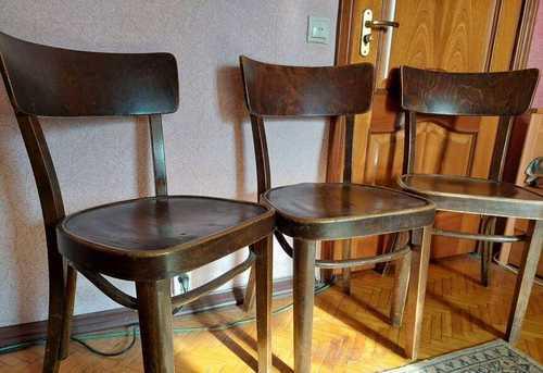 Комплект стульев. Румыния, середина 20в