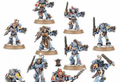 Blood claws/grey hunters. Adeptus Astartes