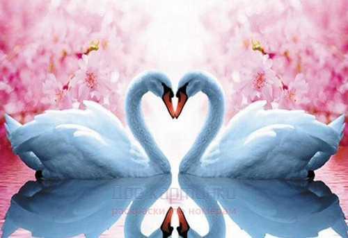 Алмазная мозаика 30x40 Влюбленные лебеди и розовые
