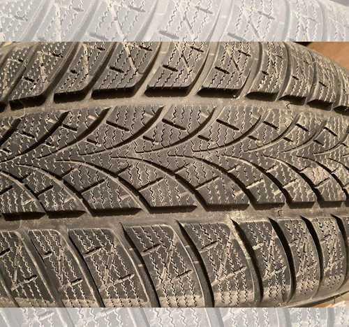 Triangle WinterX TW401 215/50 R17 95V