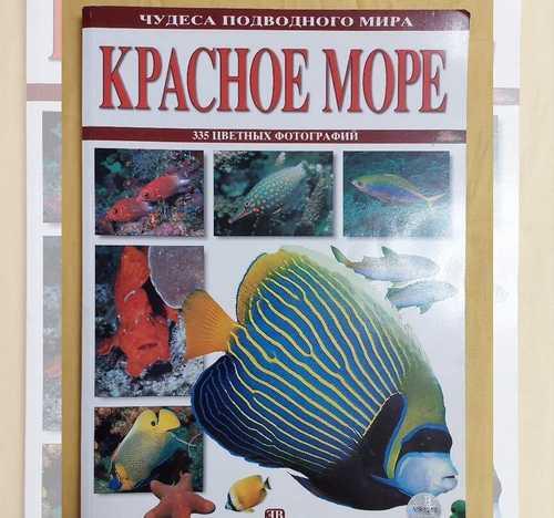 Красное море, чудеса подводного мира