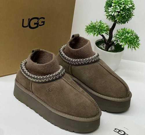 Ugg tazz tasman (разные цвета)