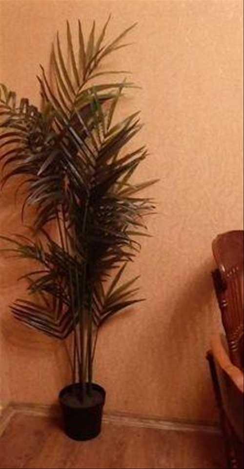 Искусственная пальма Ikea, растение искусственное
