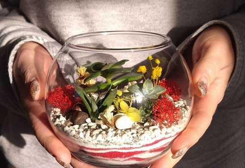 Флорариум в вазе-шар с суккулентами