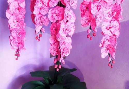 Орхидея напольная интерьерная
