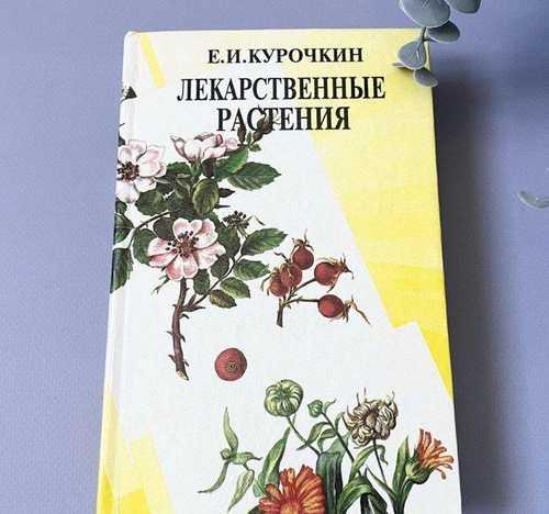 Лекарственные растения Е.И. Курочкин книга