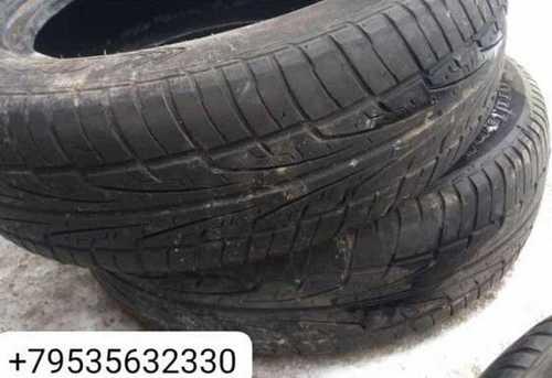 Accelera Accelera Summer 5/80 R14 19M