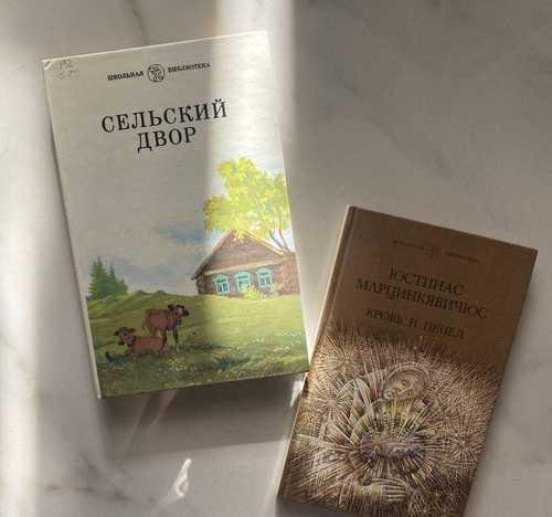 Книги школьная библиотека