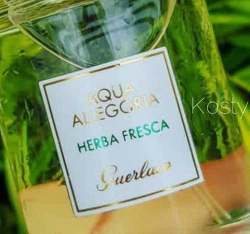 Guerlain aqua allegoria herba fresca / герлен духи