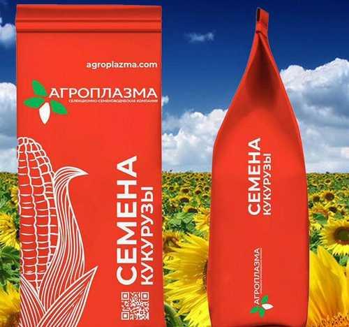 Семена подсолнечника Норма кл, Волгоград