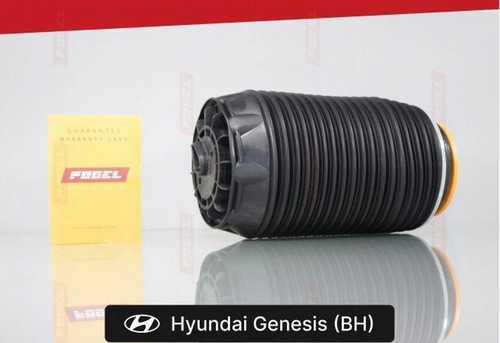 Пневмобаллон для Hyundai Genesis I задний