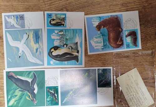 Набор почтовых карточек СССР "водный мир Антарктид