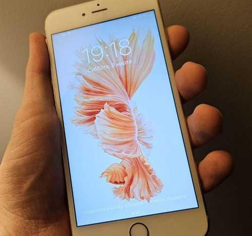 iPhone 6S Plus, 16 ГБ