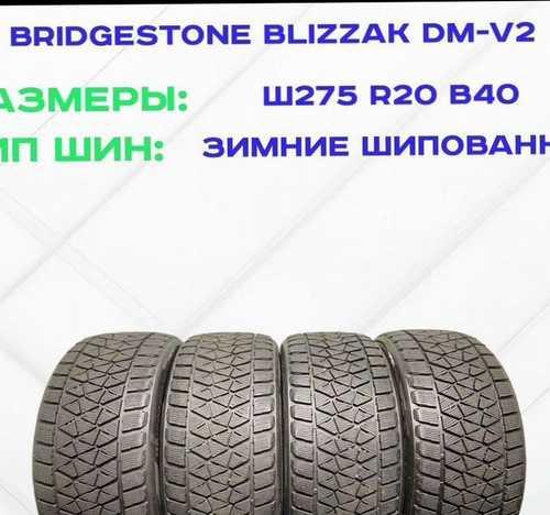 Bridgestone Blizzak DM-V2 275/40 R20