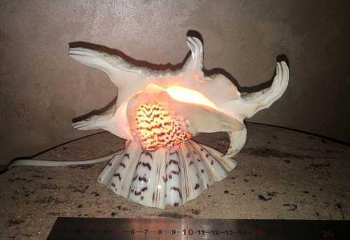 Светильник ночник из тропических раковин