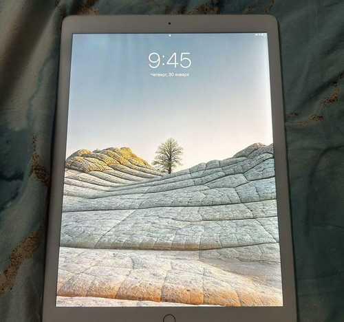 iPad pro 12.9 2015 32gb