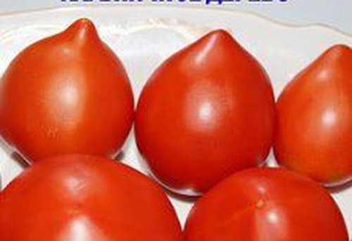 Семена вкусных, урожайных томатов
