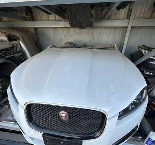 Ноускат Jaguar xf x250 рестайлинг