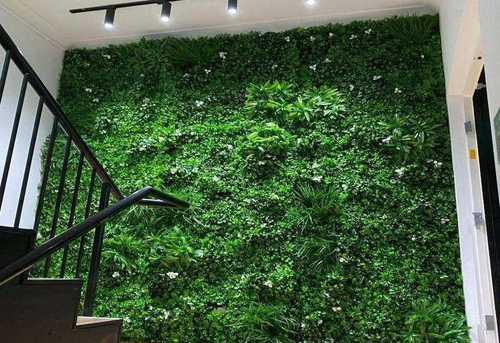 Фитостены и вертикальное озеленение 'Стена из раст