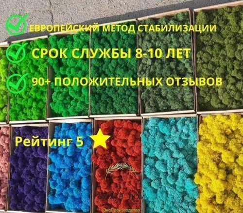 Стабилизированный Мох красный синий зелёный