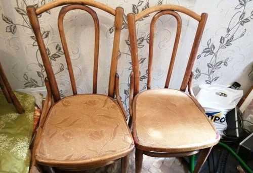 2 венских стула, сиденье родное