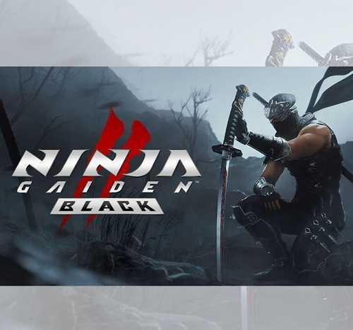 Ninja Gaiden 2 Black