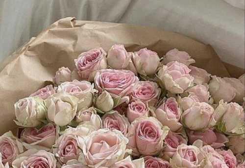 Пионовидные розы. Кустовые розы. Пионы. Розы