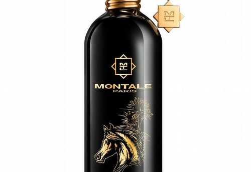 Montale arabians tonka