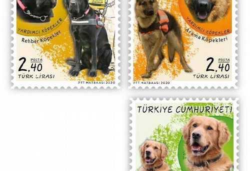 Турция 2020. Фауна. Собаки. 4 марки