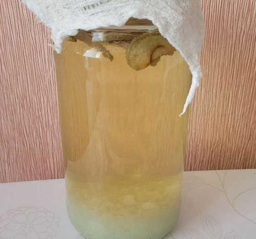 Индийский морской рис