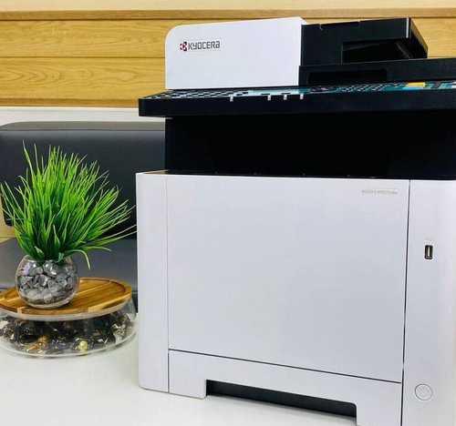 Мфу лазерное Kyocera ecosys M5521cdw