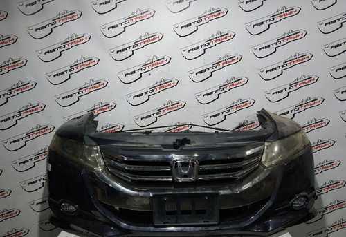 Nosecut honda odyssey RB3 RB4 2 модель absolute ae