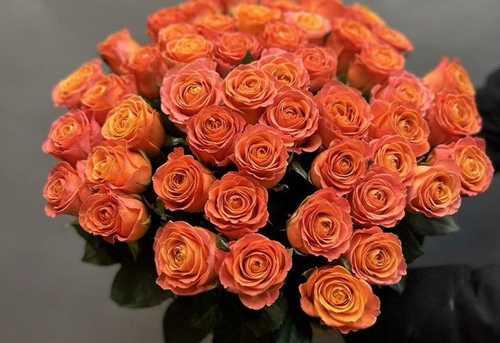 Розы, яркий букет, 51 роза 80см, цветы